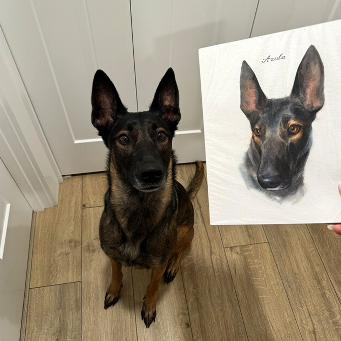Custom Hand-Painted Pet & Family Portraits by DRAWandCARE